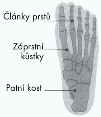 Cvičíme metodou Pilates - UNIFORM Praha s.r.o.